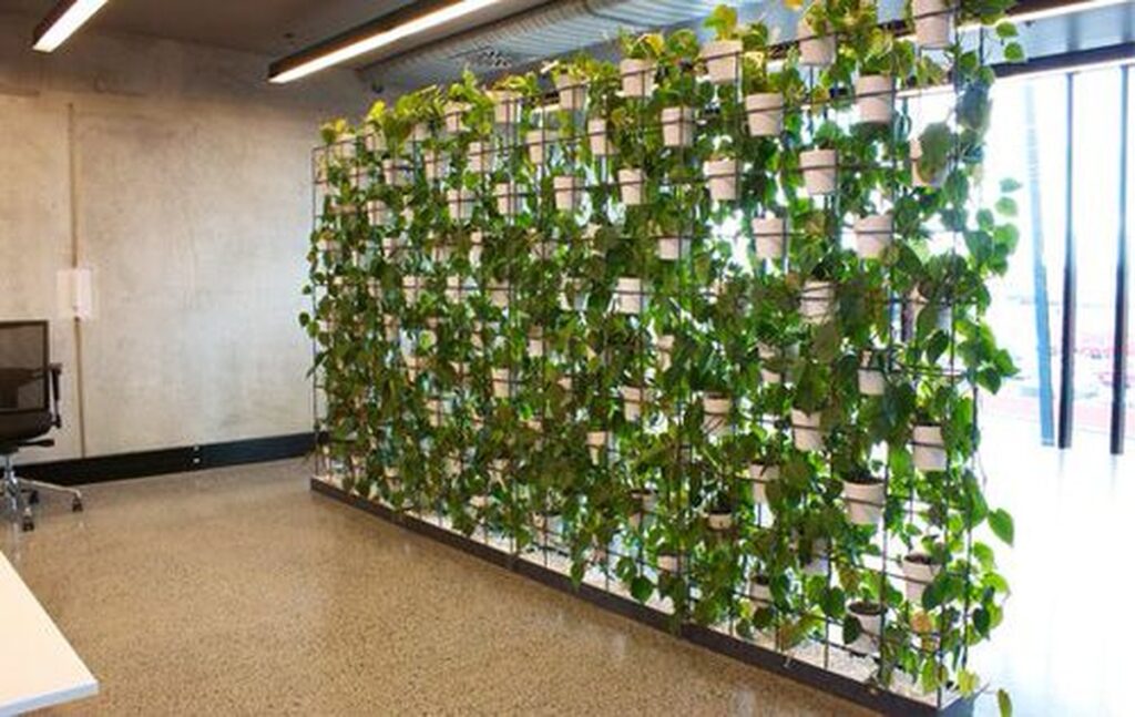 21 Gorgeous Indoor Plants Room Divider Ideas for Your Space