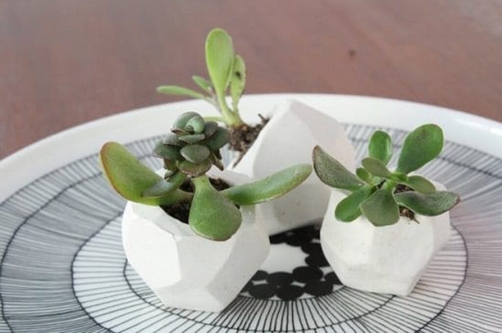 36 Adorable DIY Tiny Planters to Make in a Snap