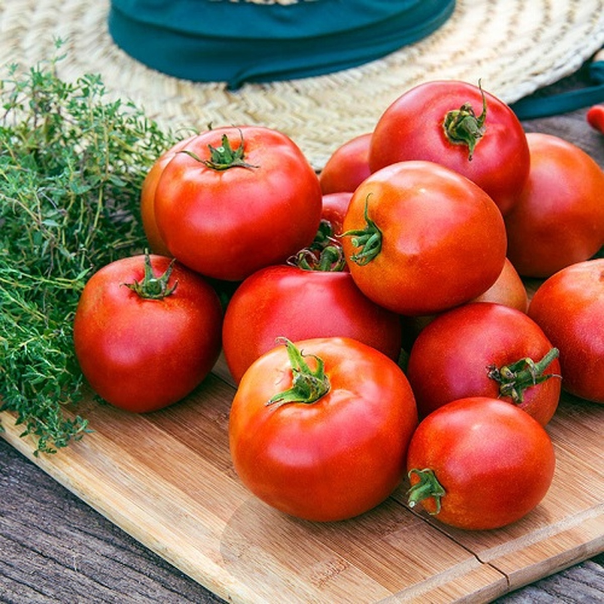 9 Mouth-Watering Seedless Tomato Varieties for Every Garden