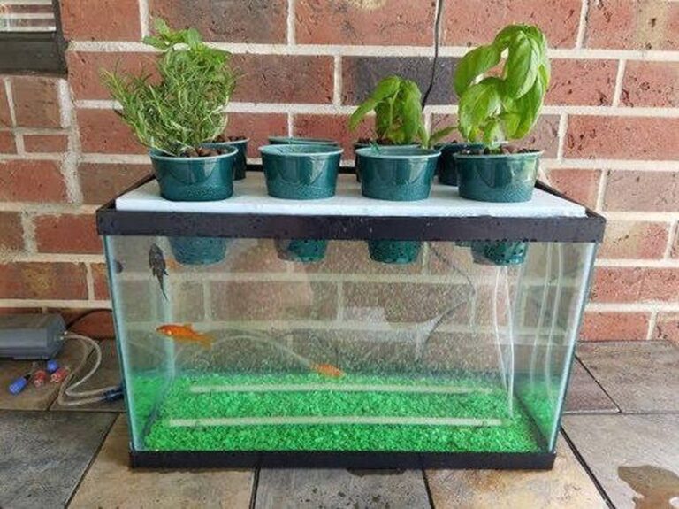 5 Awesome Ways to Repurpose An Old Fish Tank Today