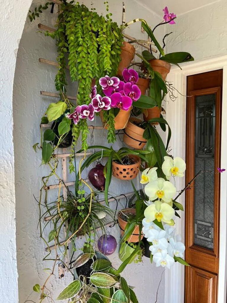 19 Stunning Orchid Arrangement Ideas to Brighten Your Space