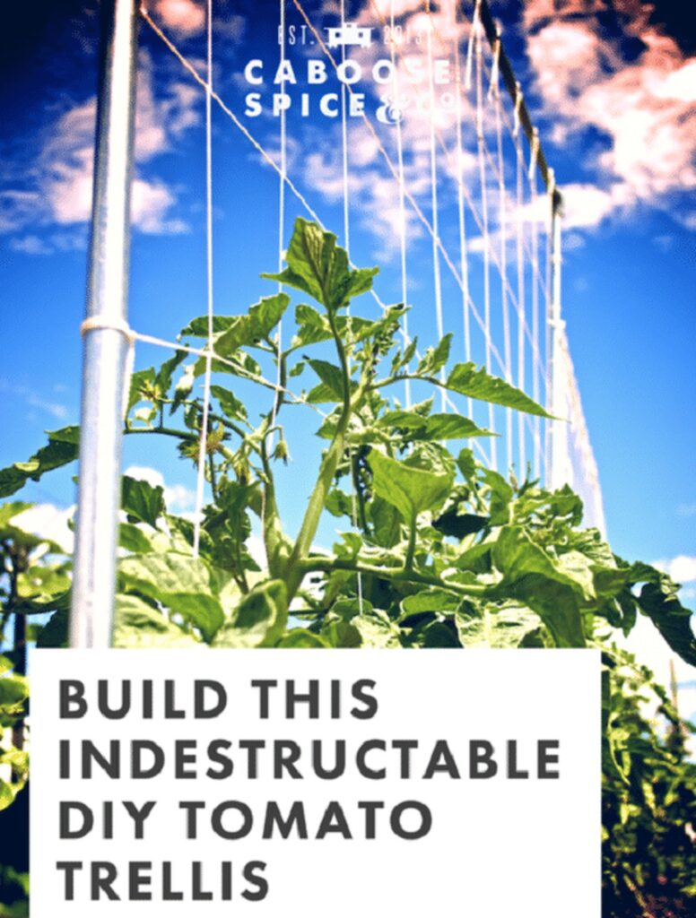 27 Clever DIY Tomato Cage Ideas That Actually Work Wonders