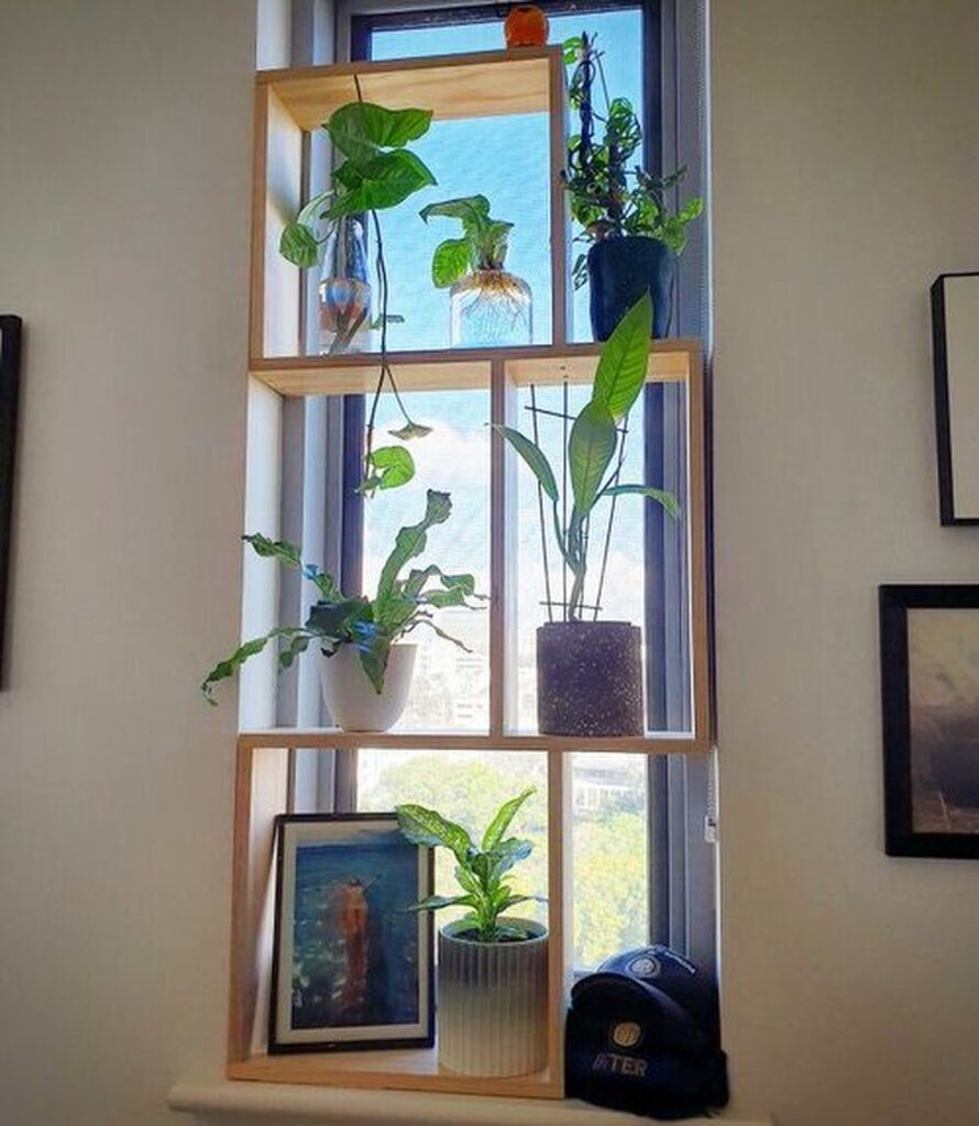 26 Charming Indoor Window Shelf Ideas for Plants to Brighten Up