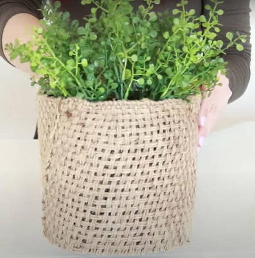 21 Stunning Upcycled Plastic Pots Transformed into Elegant Planters