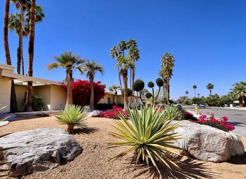 35 Stunning Desert Landscaping Ideas Pictures to Transform Your Yard