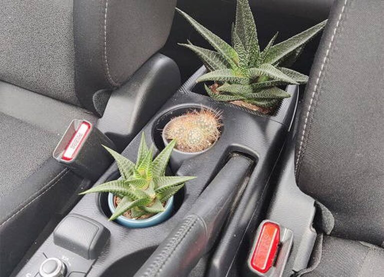 16 Brilliant Car Gardening Ideas to Make Your Ride Bloom