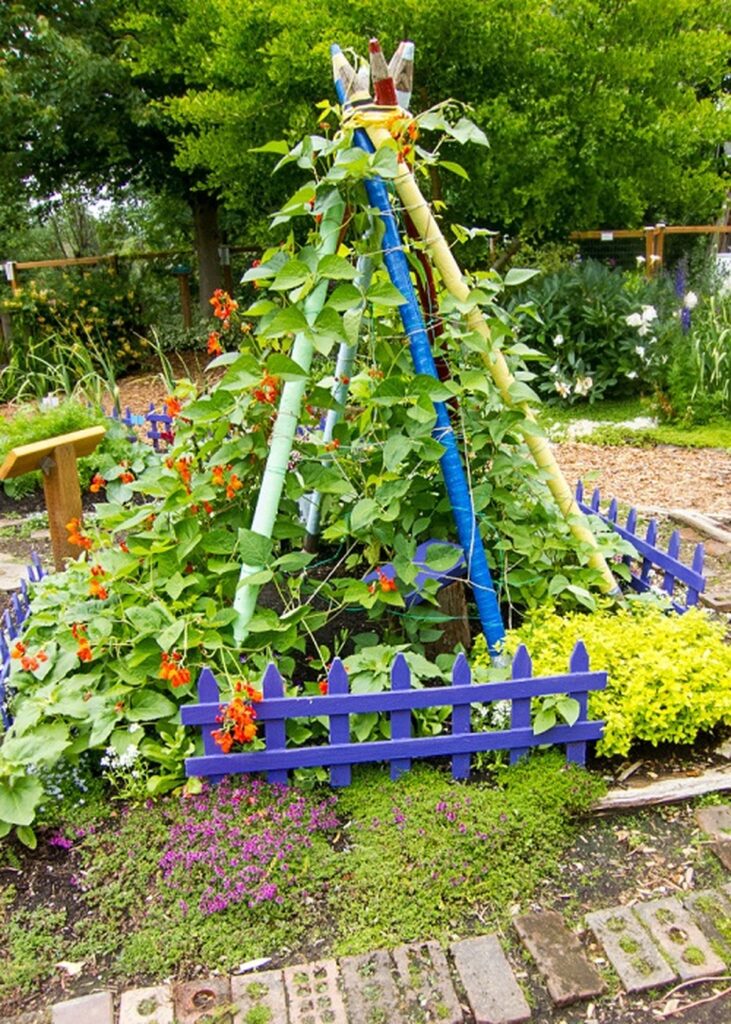 26 Simple and Creative DIY Bean Trellis Ideas for Your Garden