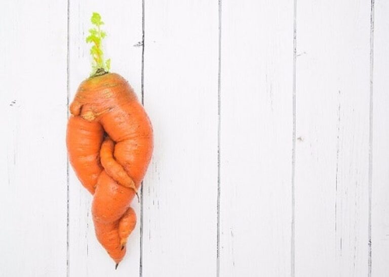 21 Unbelievable Fruits and Vegetables That Looked Like Something Else