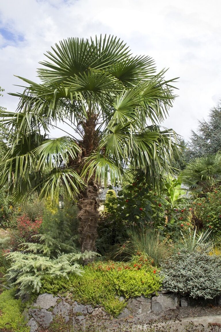21 Gorgeous Spiky Plants That Will Transform Your Garden
