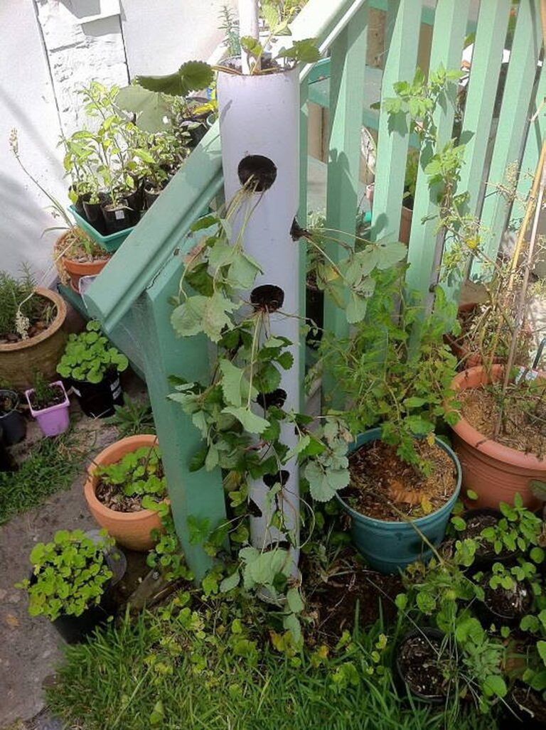 15 Stunning DIY PVC Pipe Planters for Your Dream Garden