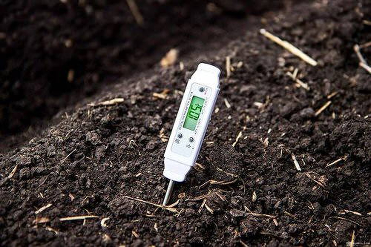 10 Insider Hacks Garden Pros Rarely Share