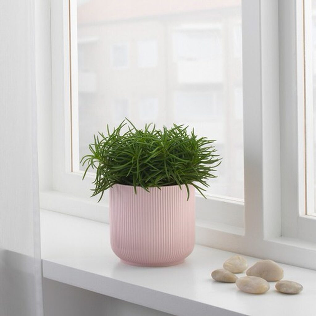 27 Stunning Ways IKEA Pots Transform Your Indoor Plants