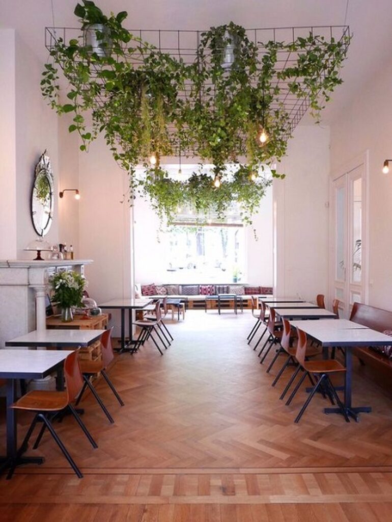 29 Stunning Plant Ceiling Ideas to Transform Your Space