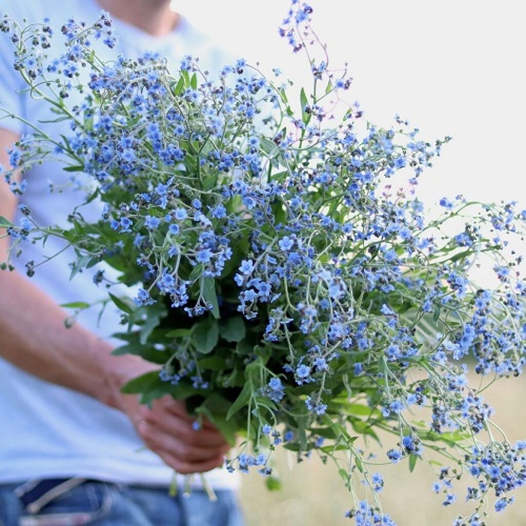 32 Enchanting Chinese Flowers That Bloom With Eastern Charm