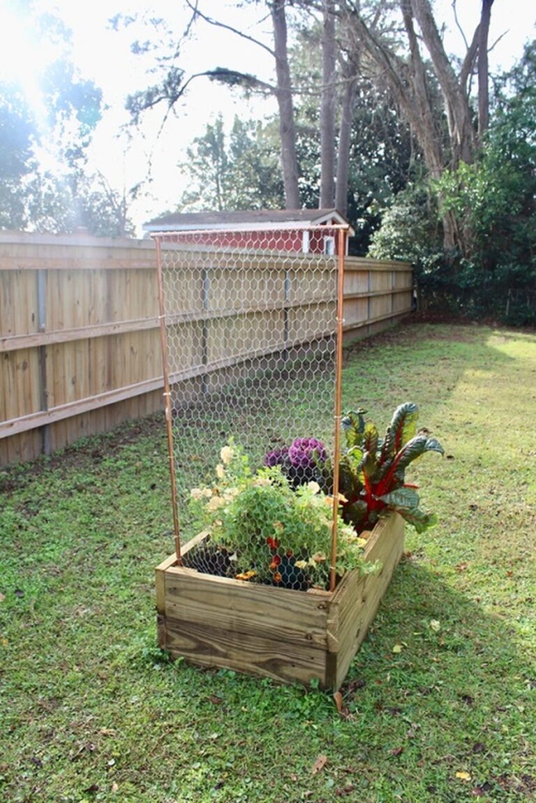 26 Simple and Creative DIY Bean Trellis Ideas for Your Garden