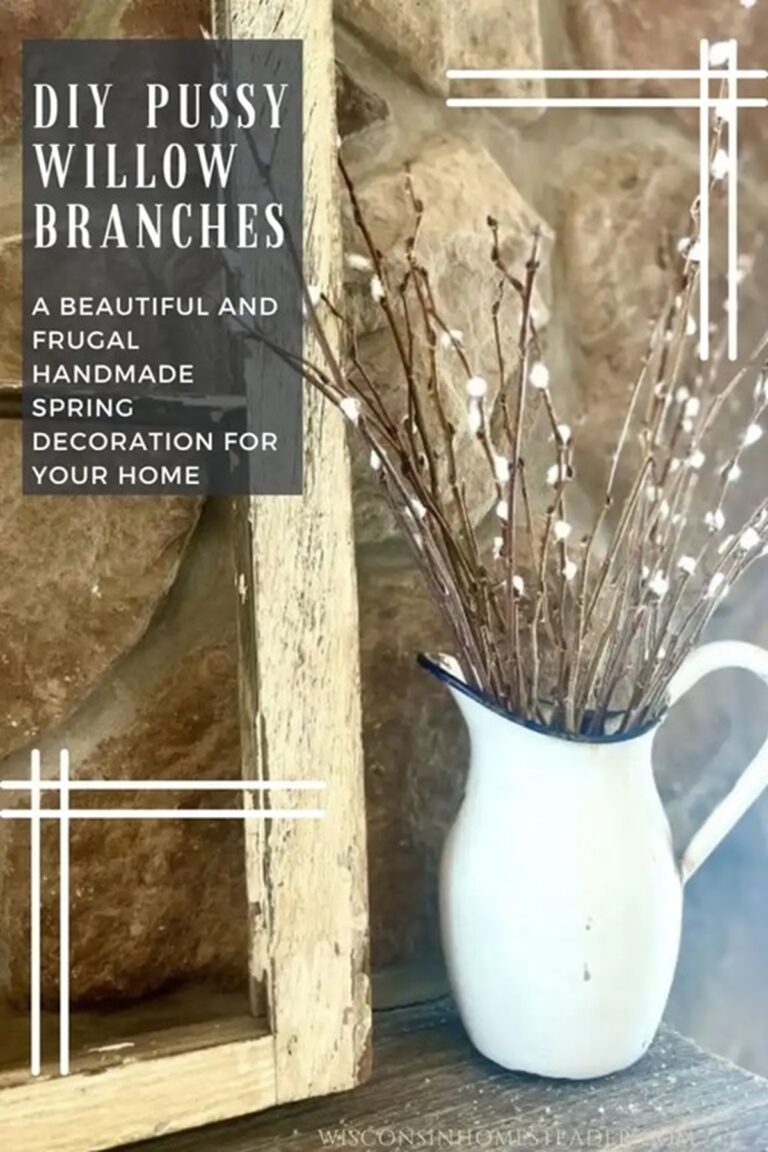 15 Creative Pussy Willow Branches Decor Ideas for a Cozy Home