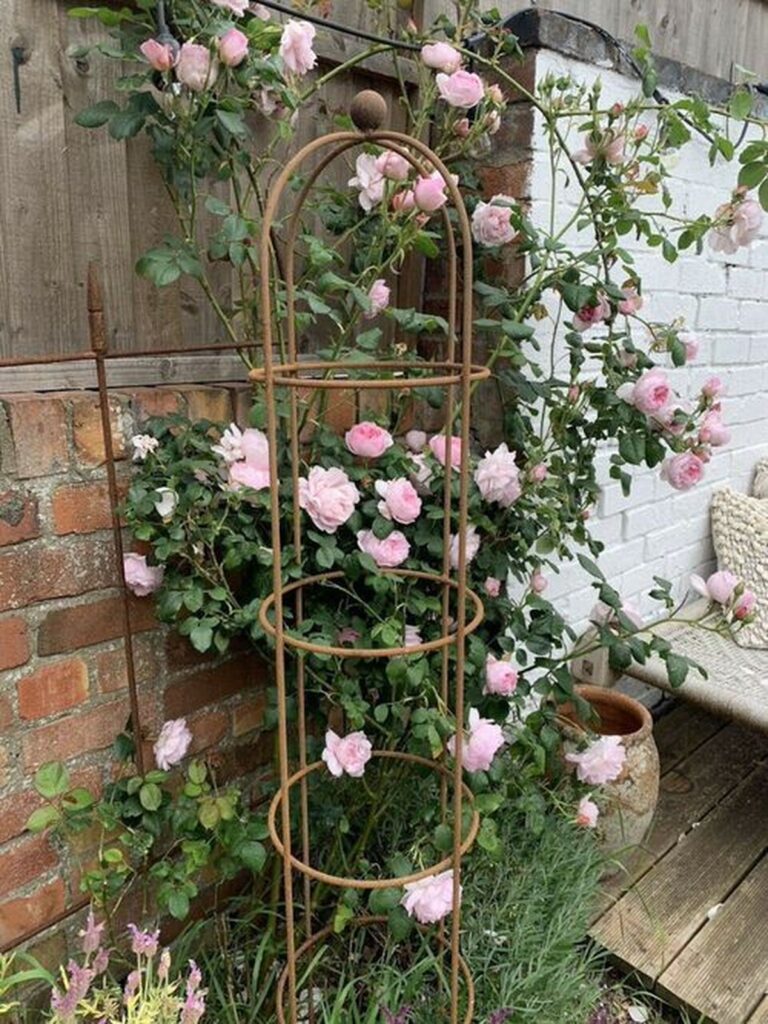 26 Beautiful DIY Rose Trellis Ideas for Your Garden