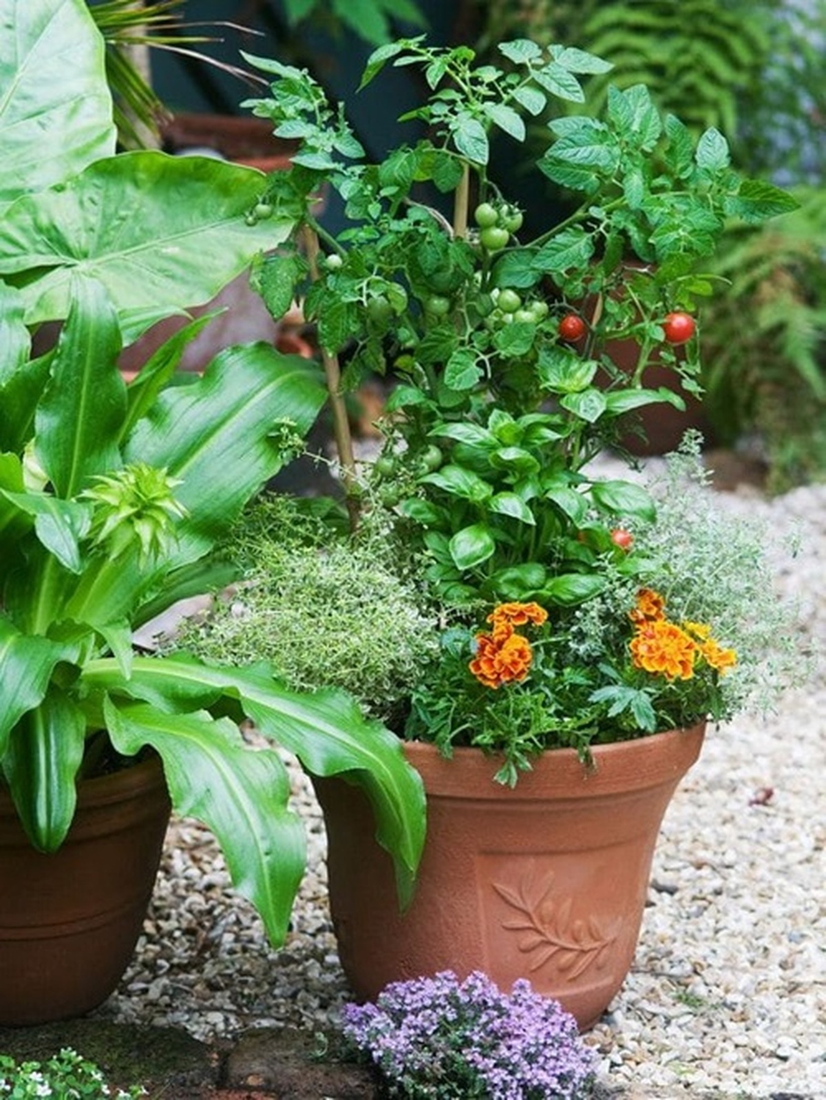 12 Brilliant Ways to Repurpose Your Dead Christmas Tree