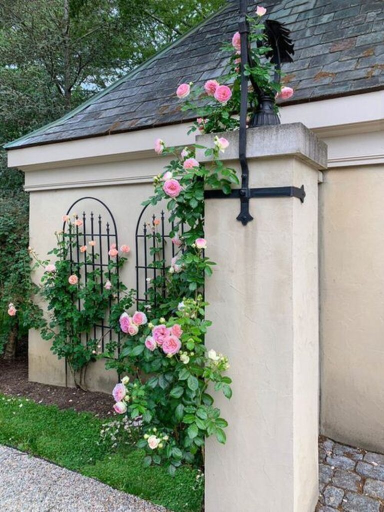 26 Beautiful DIY Rose Trellis Ideas for Your Garden