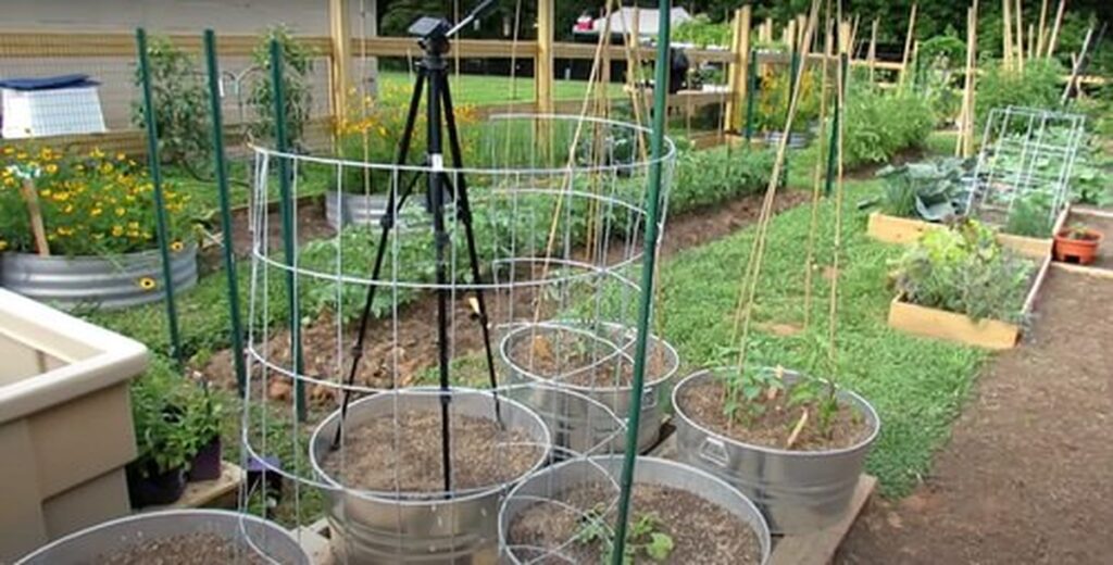 17 Fantastic DIY Squash Trellis Ideas for Your Garden