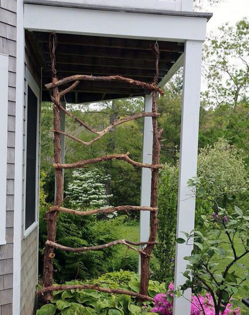20 Charming DIY Garden Ladders and Trellises Using Tree Branches
