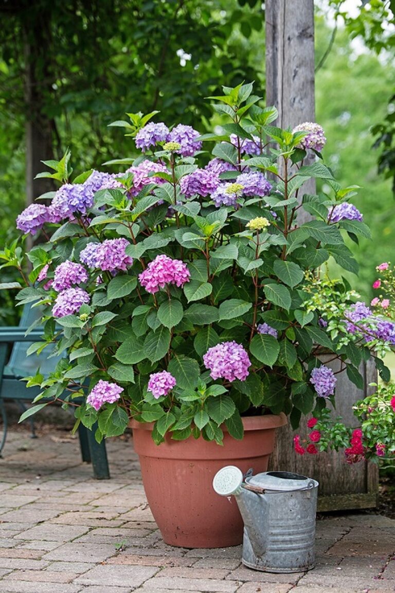 38 Gorgeous Texas Flowering Shrubs That Brighten Any Garden