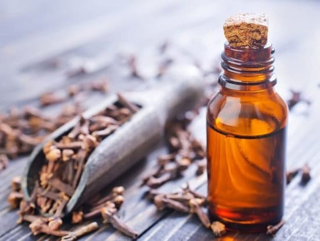 6 Amazing Cloves Uses in the Garden That Actually Work Wonders