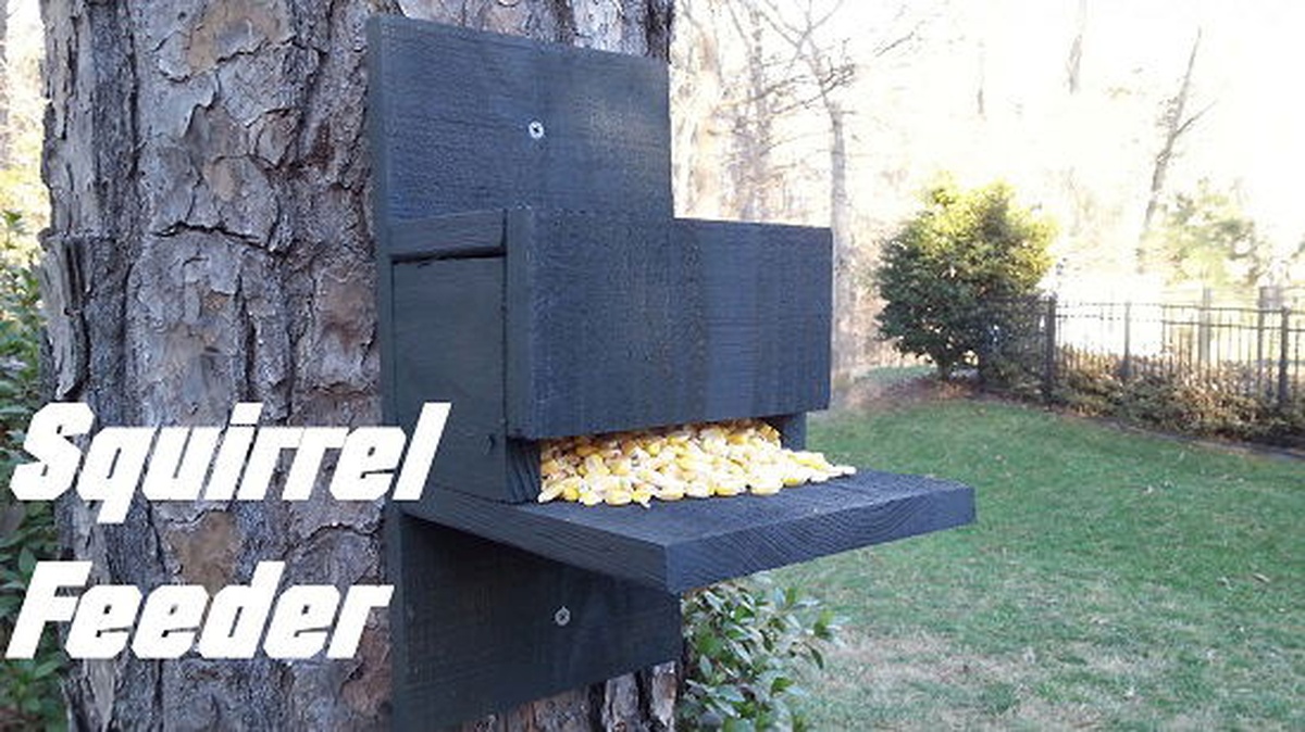 9 Adorable Squirrel Feeder DIY Ideas To Brighten Your Garden