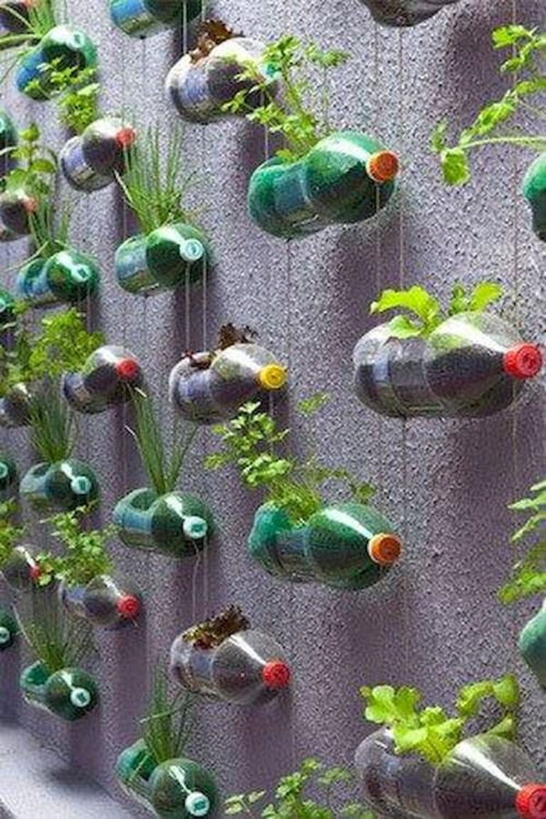 23 Clever DIY Edible Garden Ideas from Plastic Bottles for Beginners