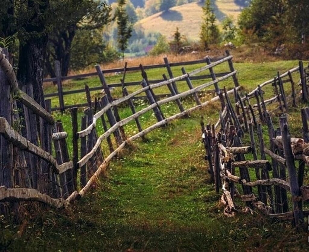 29 Ideally Rustic Fence Ideas That Transform Any Space
