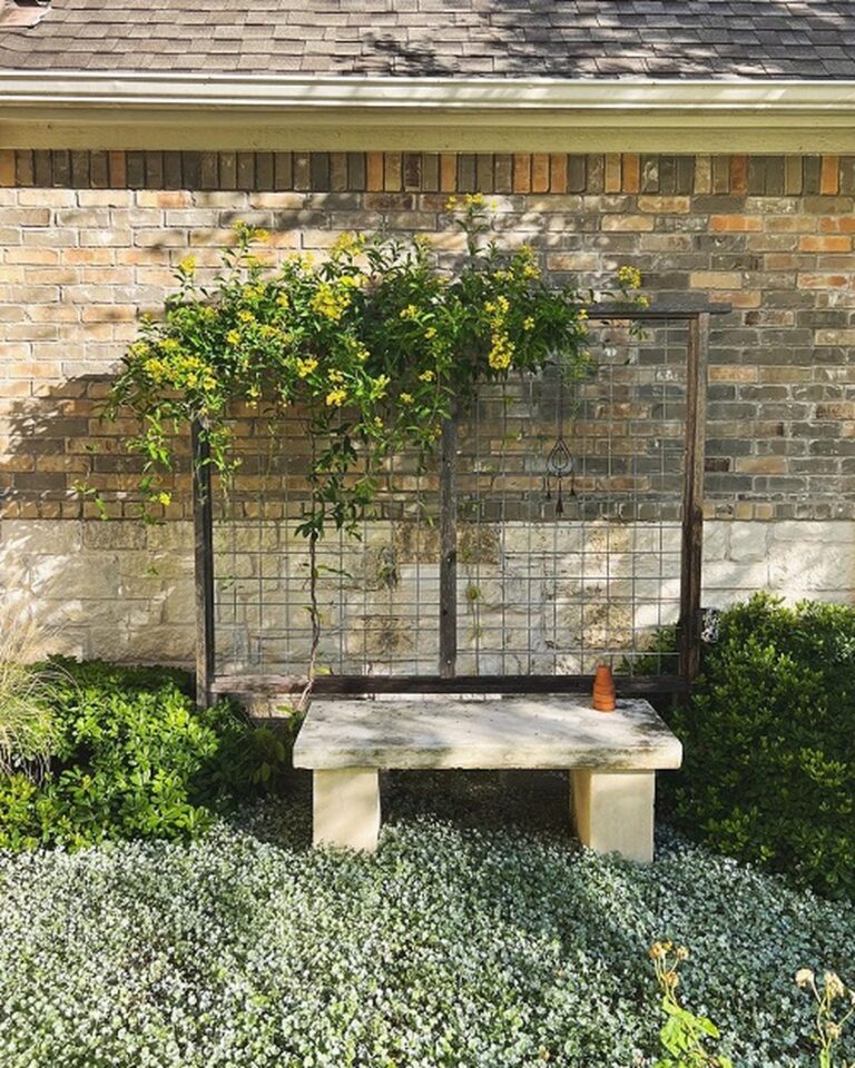 14 Amazing No Mow Lawn Alternative Ideas That Really Work