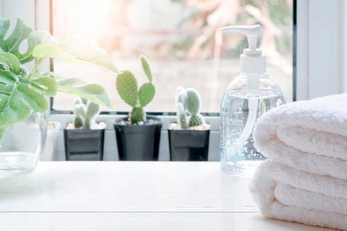 8 Easy DIY Leaf Shiner Recipes for Stunning Plant Glow