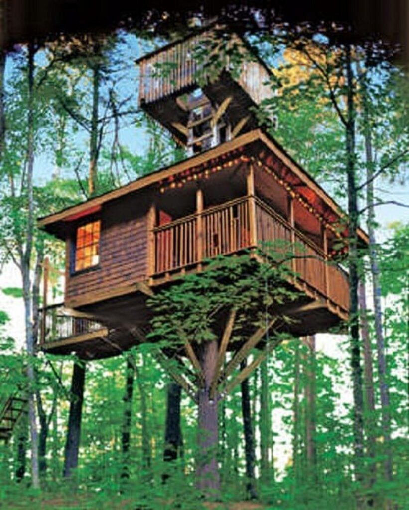 20 Delightful DIY Tree Projects To Transform Your Backyard