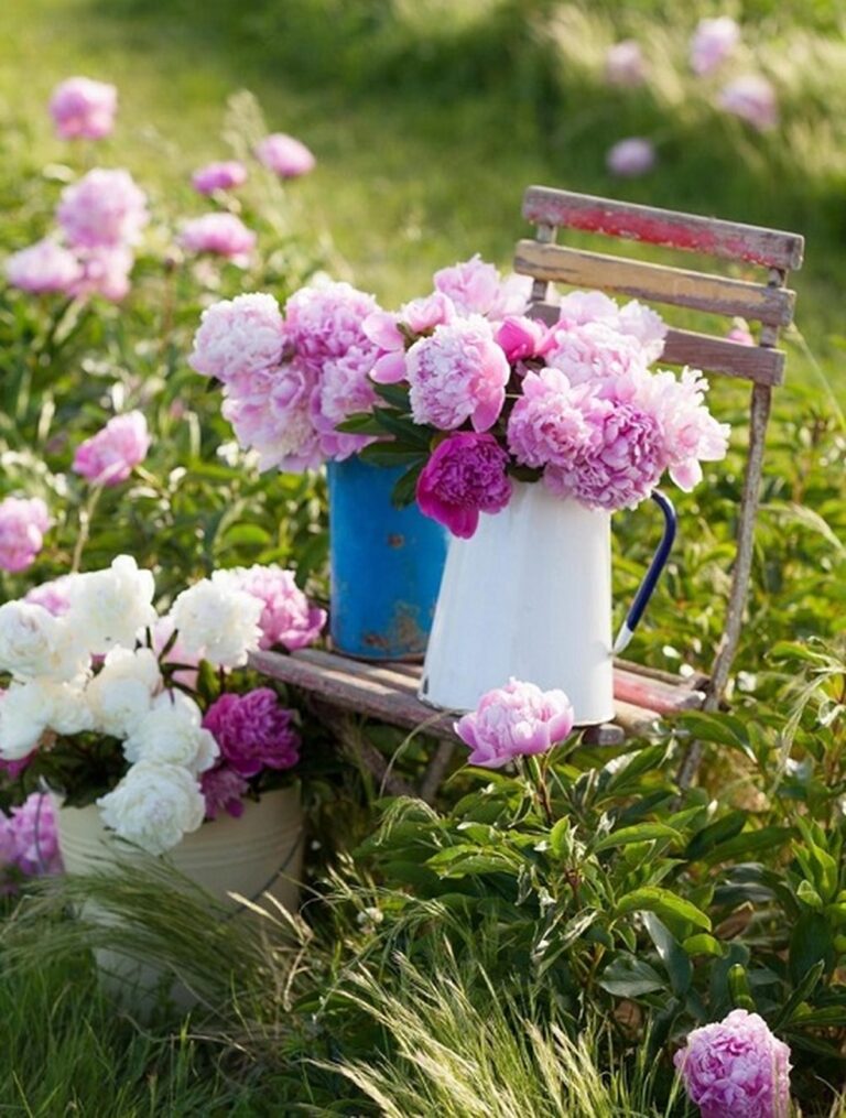 23 Beautiful Flowers That Mean Healing for a Comforting Touch