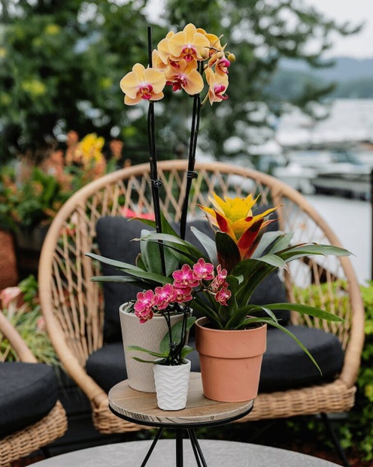 14 Charming Flowers That Mean Forever Love