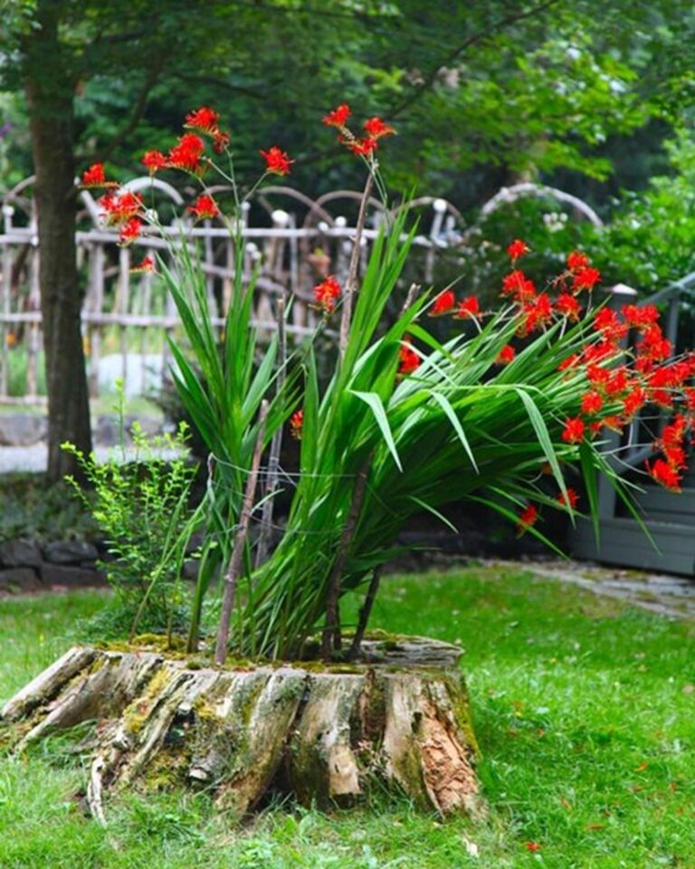 22 Blazing Tree Stump Planter Ideas That'll Transform Your Garden