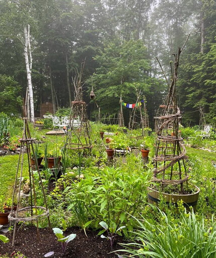 20 Charming DIY Garden Ladders and Trellises Using Tree Branches