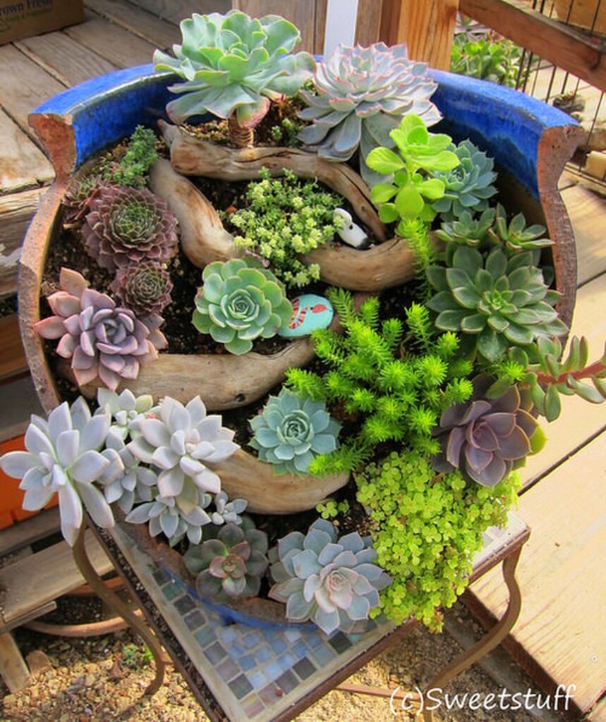18 Incredible Broken Pot Ideas For Garden That Enchant