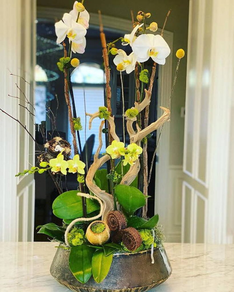 19 Stunning Orchid Arrangement Ideas to Brighten Your Space