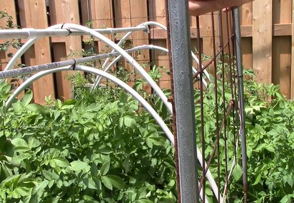 17 Fantastic DIY Squash Trellis Ideas for Your Garden