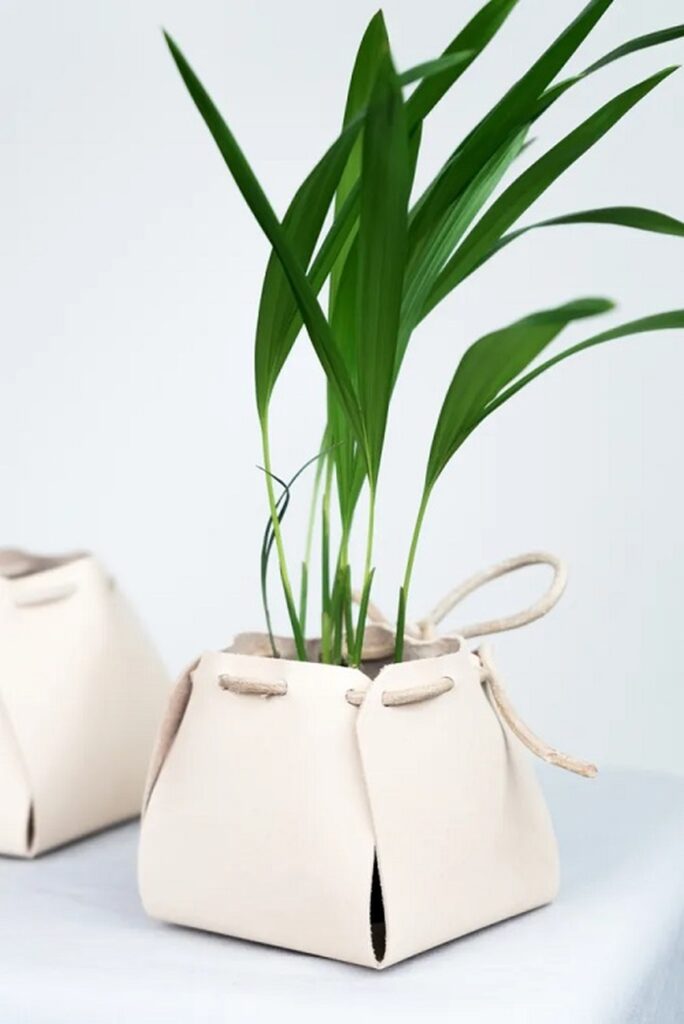 36 Gorgeous Wrapped Potted Plant Centerpiece Ideas That Dazzle
