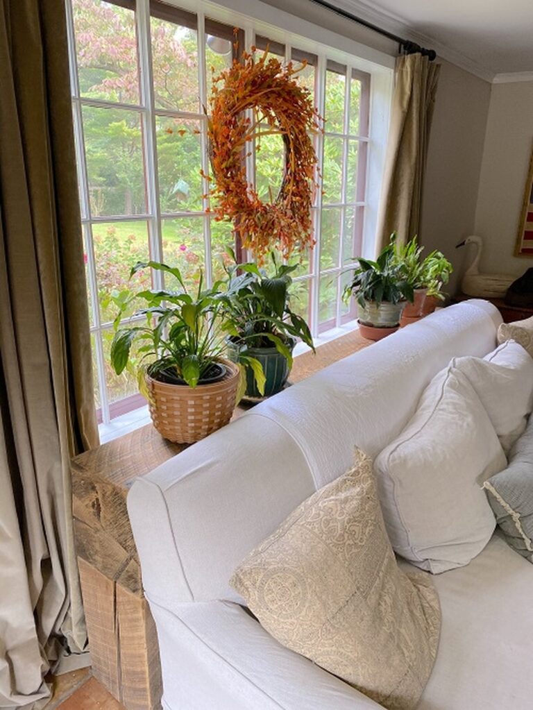 18 Stylish Plants Behind the Couch Ideas to Transform Your Space
