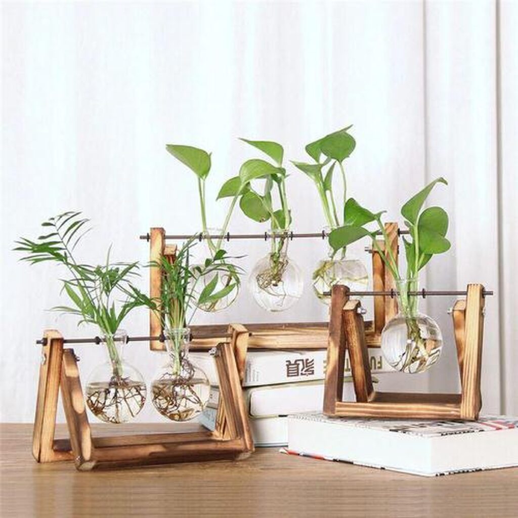 25 Creative Plant Propagation Stations for Eco-Friendly Homes