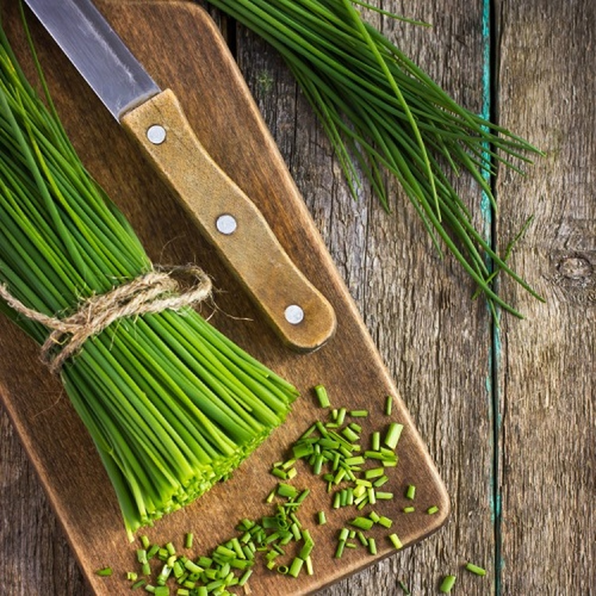 8 Best Italian Herbs for Pasta: Spice Up Your Family Dinners