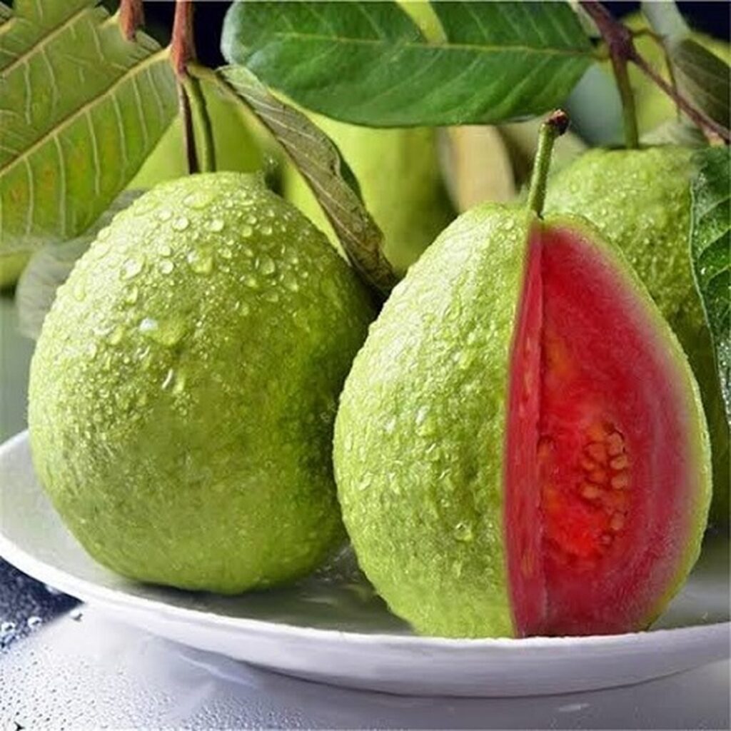 9 Delicious Red and Pink Guava Varieties to Try Today