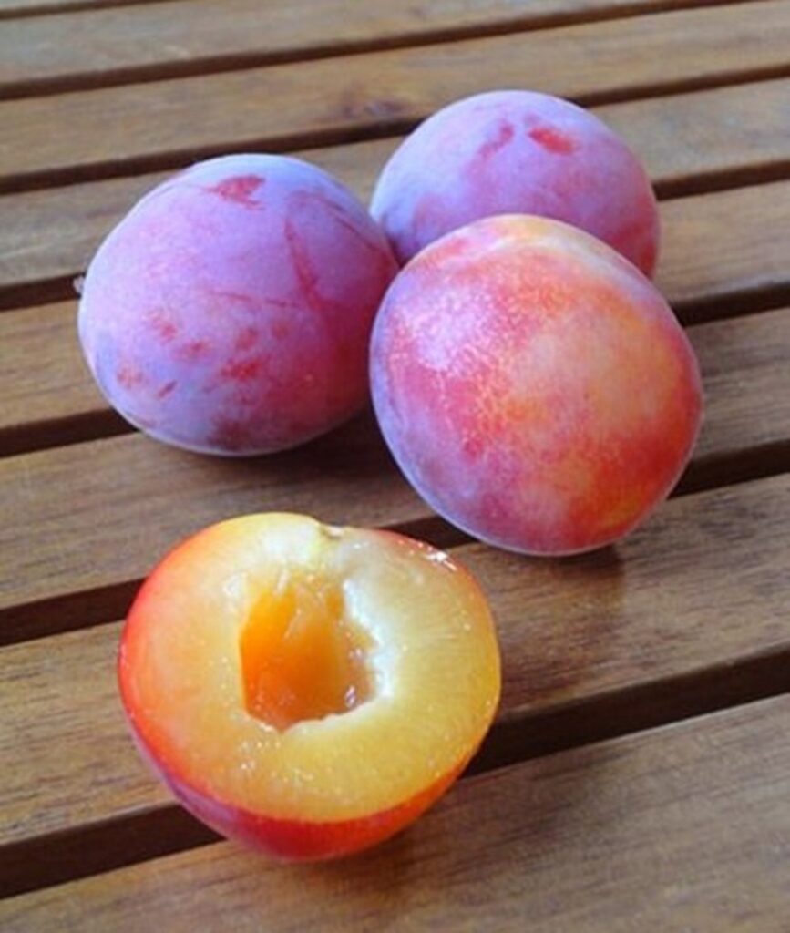 34 Fascinating Man Made Fruits That Will Amaze Your Taste Buds