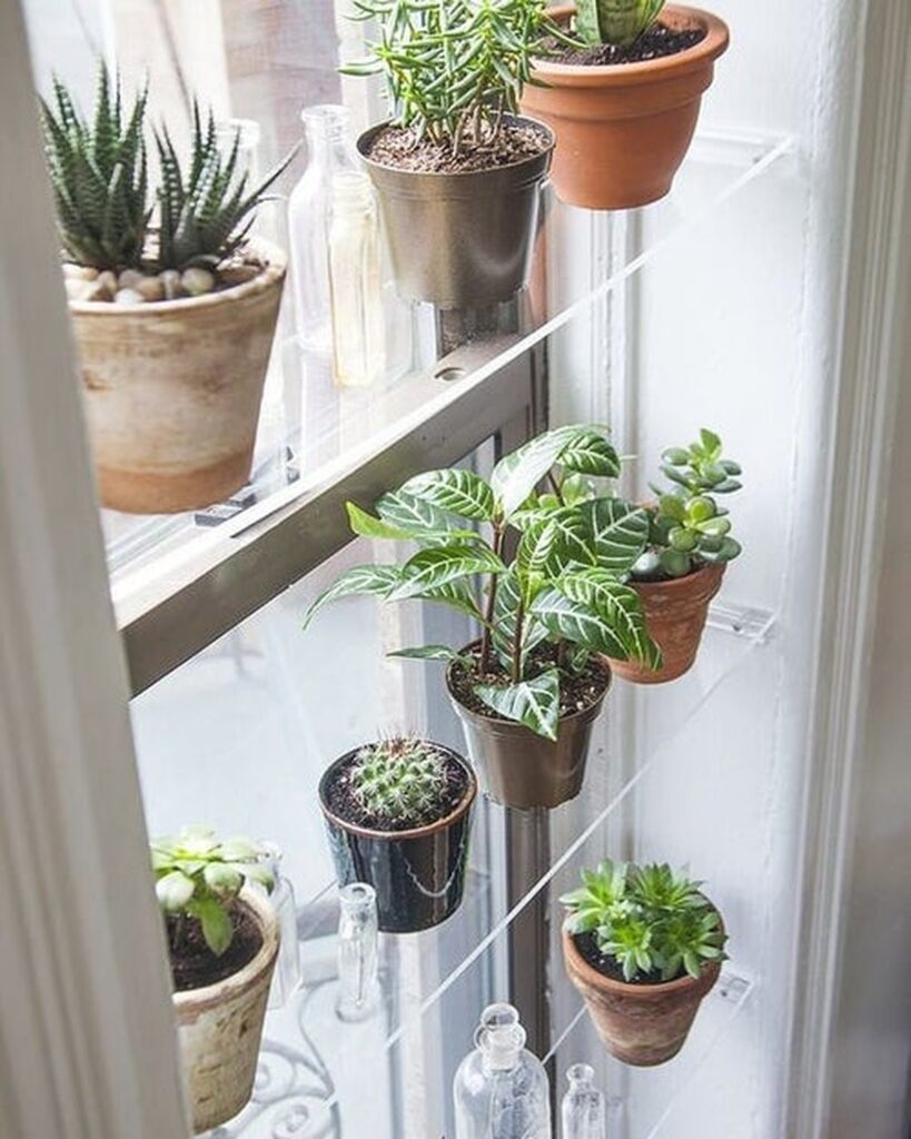 26 Charming Indoor Window Shelf Ideas for Plants to Brighten Up