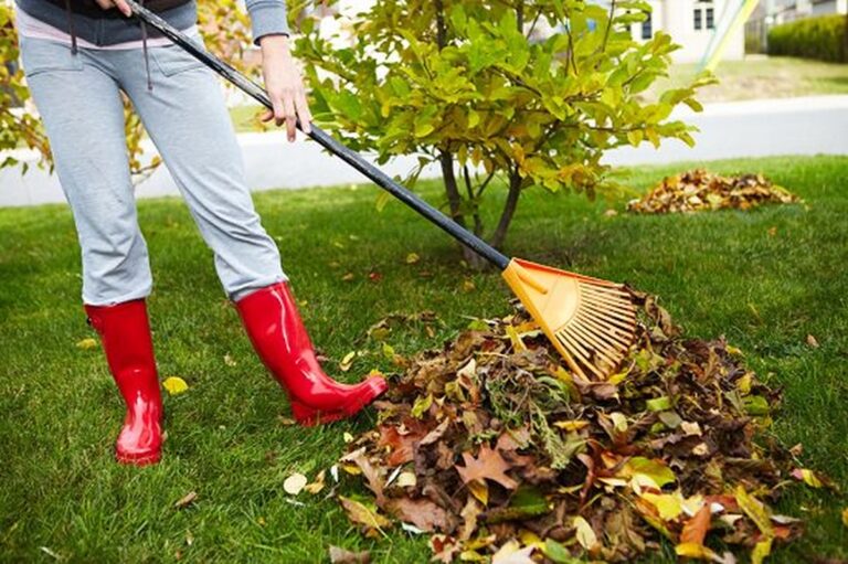 8 Simple Gardening Chores That Double as Fantastic Workouts