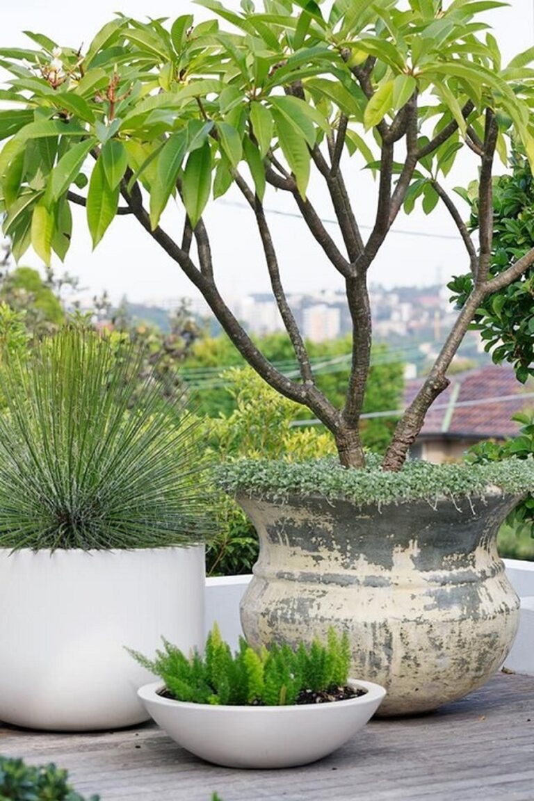 14 Simple Container Garden Design Ideas for a Lovely Outdoor Space