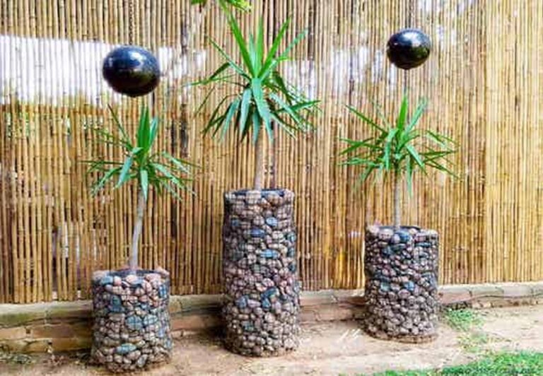 24 Delightful Gabion Plant Stand Ideas for Your Outdoor Oasis